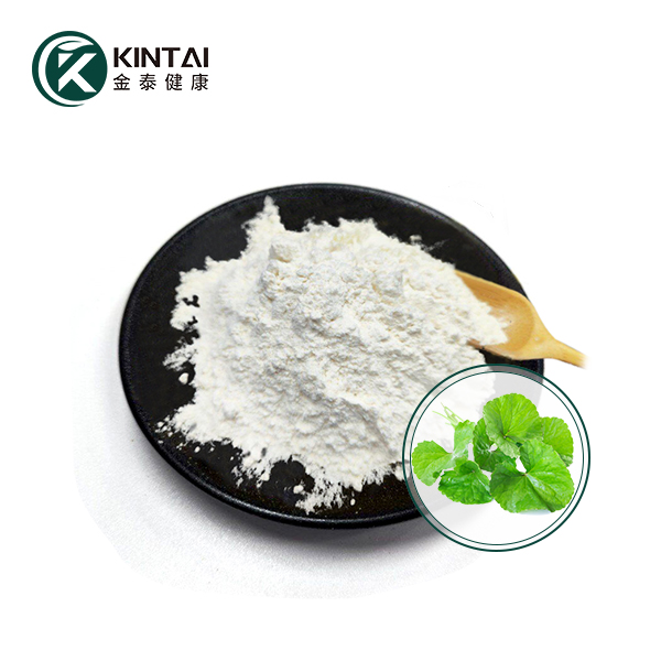 Wholesale Centella Asiatica Extract Powder - Kintai